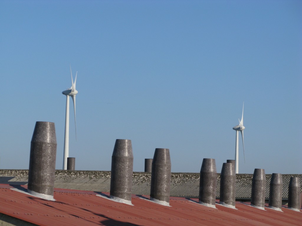 Energieautarke Gemeinde Feldheim (Brandenburg) | Regioneers